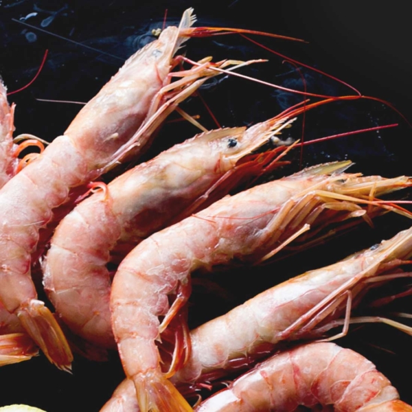 ¿Qué es el gambón austral? - Cabo Vírgenes - Seafood